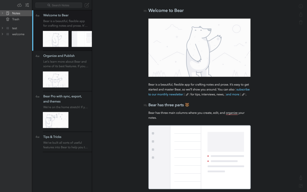 screenshot-bear-homescreen - theleanfox.com